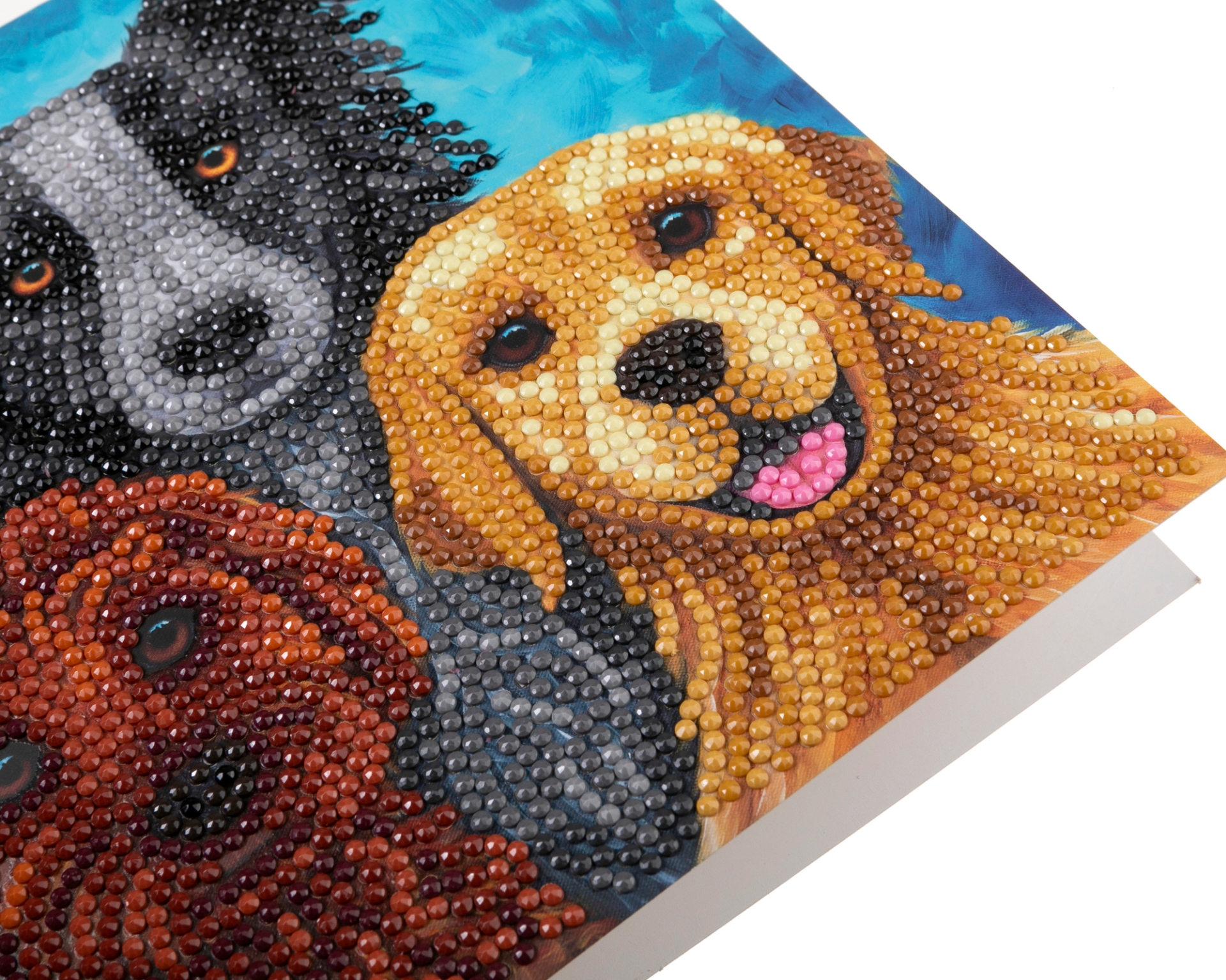 Dogs Portrait 18x18cm Crystal Art Card | Stitchtastic