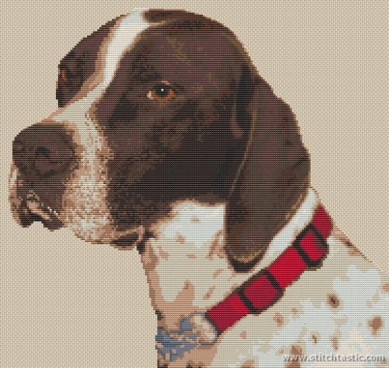 English Pointer Dog Cross Stitch Kit and Chart | Stitchtastic