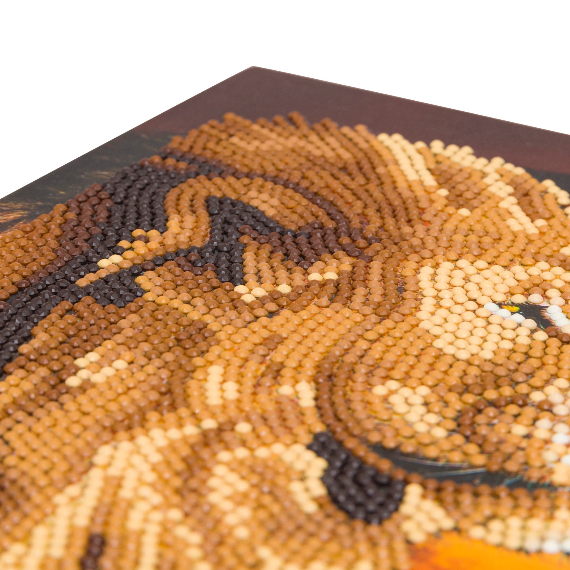 Lions of the Savannah 26X18CM Crystal Art Notebook | Stitchtastic