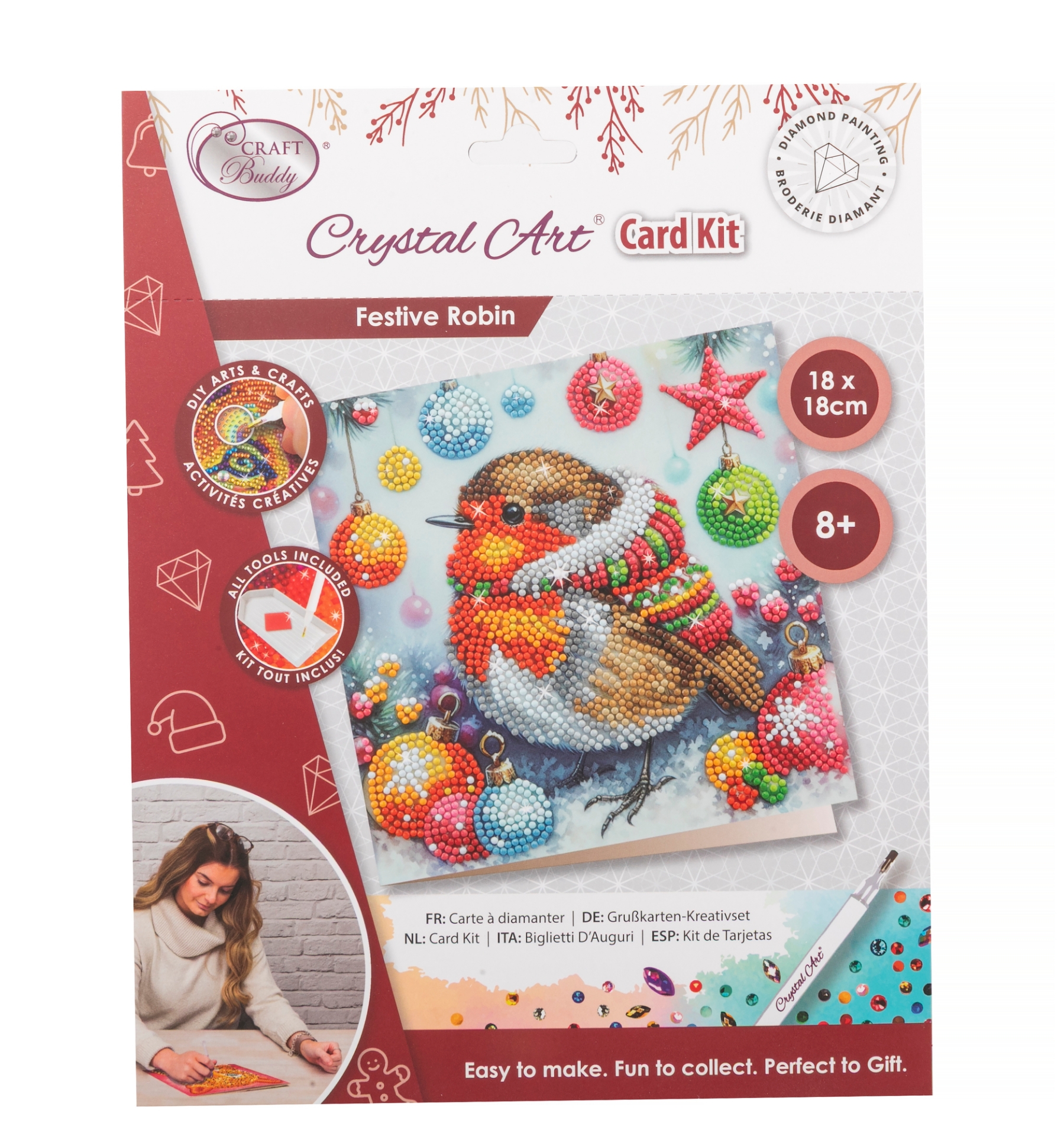 Festive Robin - 18x18cm Crystal Art Card | Stitchtastic